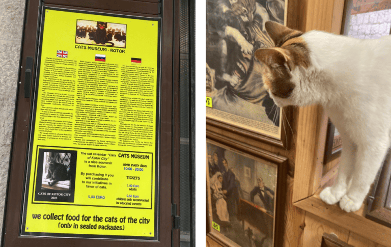 Kotor: Unveiling the Magic of History, Nature, and Adventure